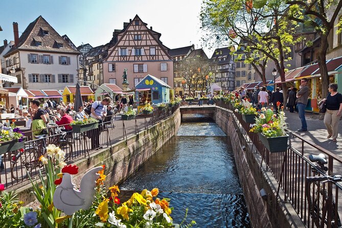 Segway Tours 2h in Colmar - Introduction