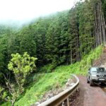 Seize your day in São Miguel with a 4x4 private tour - What Makes This Tour Stand Out?
