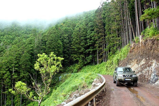 Seize your day in São Miguel with a 4x4 private tour - What Makes This Tour Stand Out?