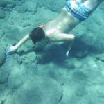 Self-Drive 4X4 Jeep Safari - South Crete Swimming & Canyons - Who Should Consider This Tour?