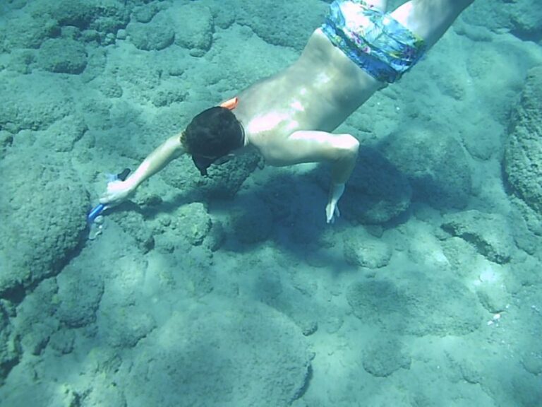 Self-Drive 4X4 Jeep Safari - South Crete Swimming & Canyons - Who Should Consider This Tour?