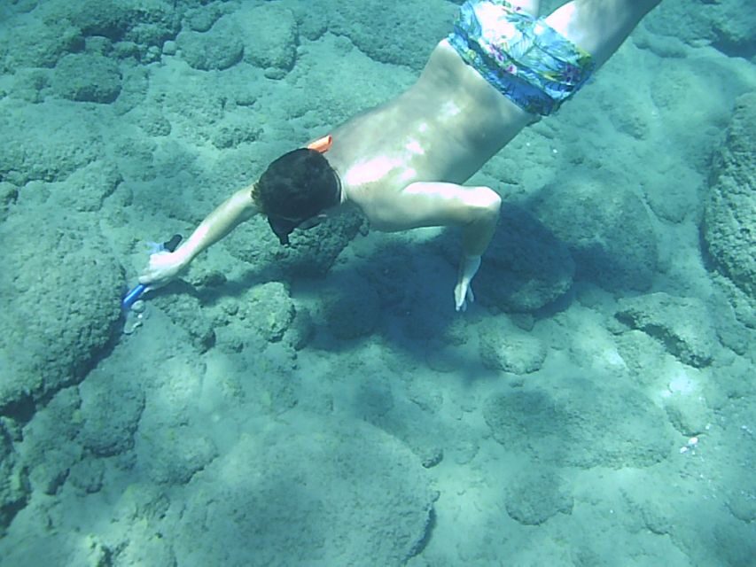 Self-Drive 4X4 Jeep Safari - South Crete Swimming & Canyons - Who Should Consider This Tour?