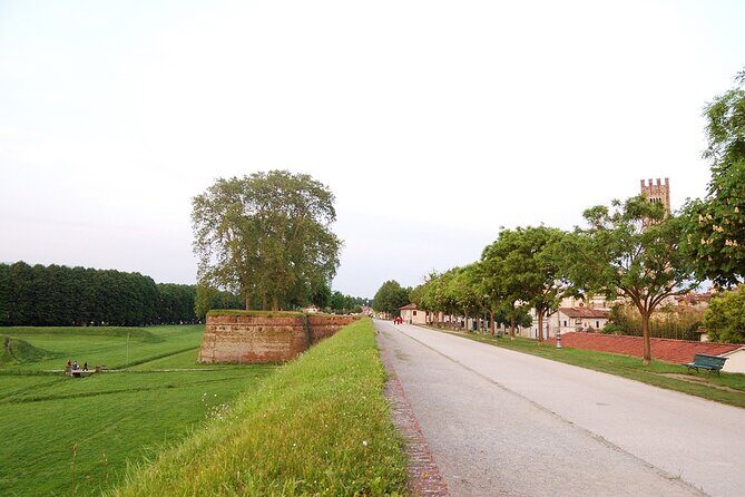 Self guided bike tour in the nature to Villa Reale - The Itinerary in Detail