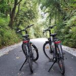 Self Guided Bike Tour on the Tralee to Fenit Greenway - Discovering the Tralee to Fenit Greenway