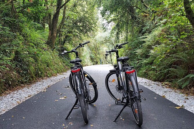 Self Guided Bike Tour on the Tralee to Fenit Greenway - Discovering the Tralee to Fenit Greenway