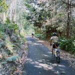 Self-Guided E-Bike Road Tour - Camacha to Monte with Lunch - Who Will Benefit Most?