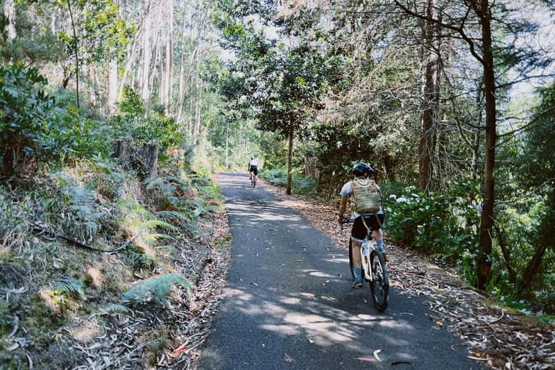 Self-Guided E-Bike Road Tour - Camacha to Monte with Lunch - Who Will Benefit Most?