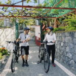 Self-Guided E-Bike Road Tour - Funchal to Câmara de Lobos - The Experience: What You Can Expect from the Tour