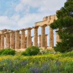 Selinunte: Archeological Park Entry Ticket & App Audioguide - What to Expect During Your Visit