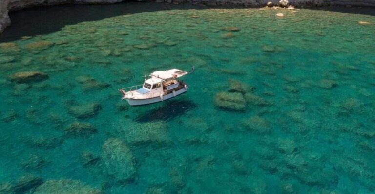 Semi Private Cruise  Morning Cruise Pollonia Polyaigos - Who Should Book This Tour?
