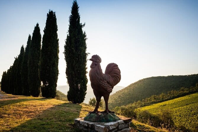 Semi Private Deep Wine Chianti and San Gimignano from Florence - Key Points
