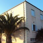 Semi- Private Olive Grove and Dragon Fruit Farm with Tastings - What’s the Real Value?