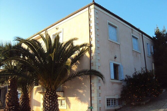 Semi- Private Olive Grove and Dragon Fruit Farm with Tastings - What’s the Real Value?