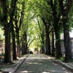 Semi-Private Père Lachaise Cemetery Tour - Final Thoughts