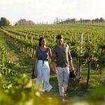 Semi-Private Wine Tour of 2 wineries with wine Tastings - Authentic Experiences and What Past Travelers Say