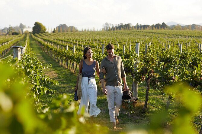 Semi-Private Wine Tour of 2 wineries with wine Tastings - Authentic Experiences and What Past Travelers Say