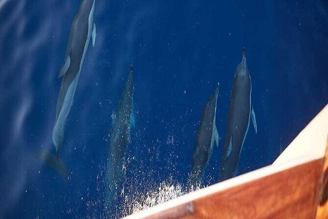 Semipriv FishingTour on Kaiki Paros/Naousa or Private sunset tour - Authenticity and Value