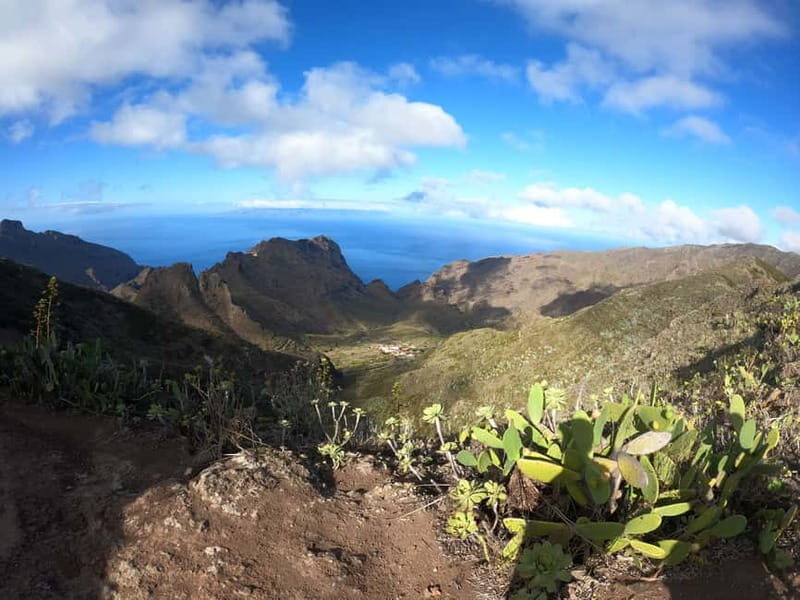 Senderismo Cumbres de Masca y monte del agua - What’s Included and What to Expect