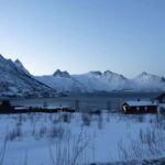 Senja: Full-Day Guided Tour with Husøy and Ersfjord - Transport, Group Size, and Overall Value