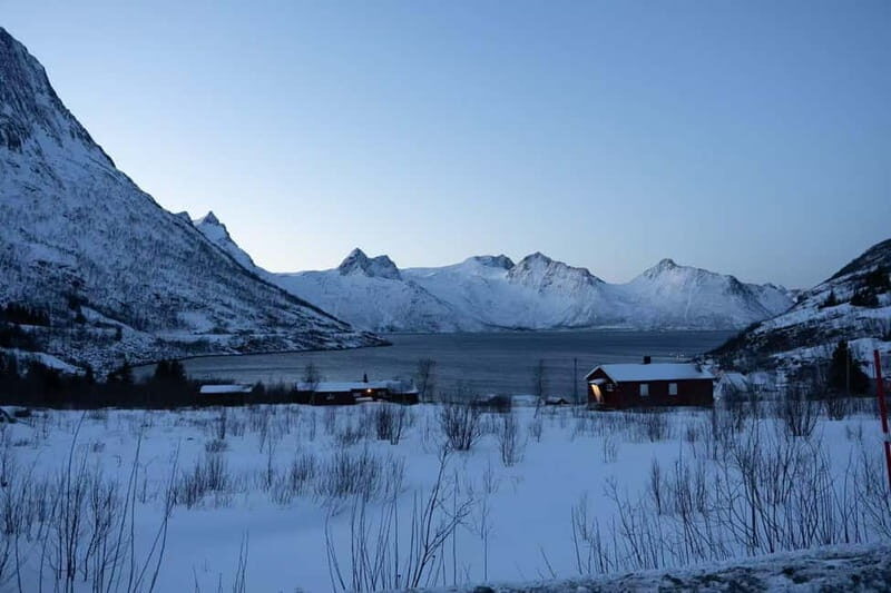Senja: Full-Day Guided Tour with Husøy and Ersfjord - Transport, Group Size, and Overall Value