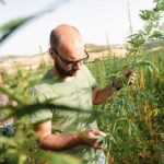 Sensory walk with lunch in the Caltagirone countryside - Logistics and practicality