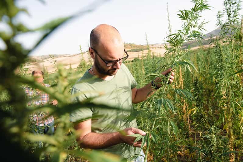 Sensory walk with lunch in the Caltagirone countryside - Logistics and practicality
