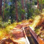 Serra de Água Valley Levada Walk - Why the Serra de Água Valley Levada Walk Works Well for Tourists