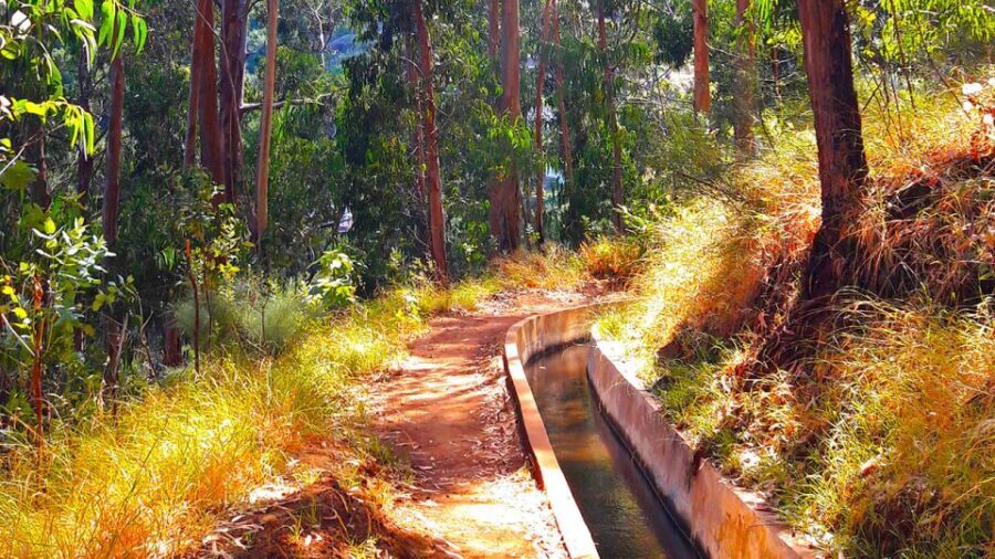 Serra de Água Valley Levada Walk - Why the Serra de Água Valley Levada Walk Works Well for Tourists