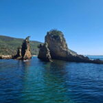 Sesimbra: Arrábida Natural Park and Tróia Sandbanks Tour - The Itinerary in Detail