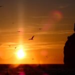 Sesimbra: Arrábida Natural Park Cabo Espichel Sunset Tour - The Experience & What Travelers Say