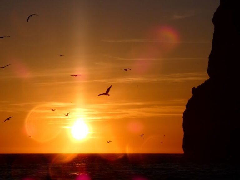 Sesimbra: Arrábida Natural Park Cabo Espichel Sunset Tour - The Experience & What Travelers Say
