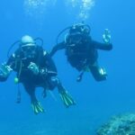 Sesimbra Dive Discovery - A Closer Look at the Itinerary