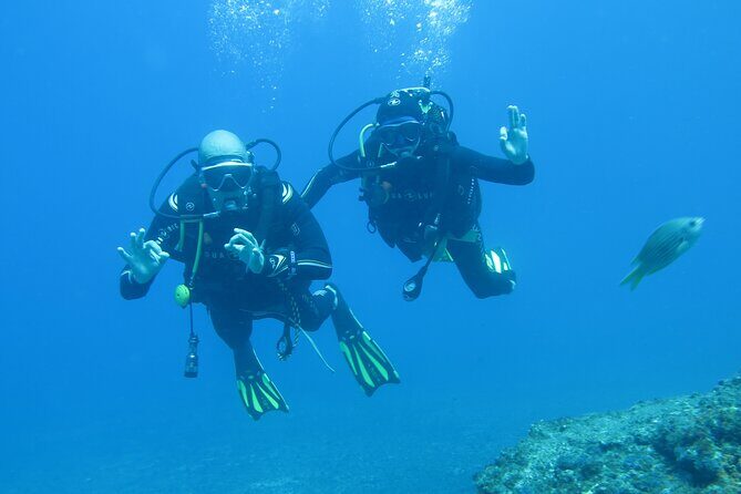 Sesimbra Dive Discovery - A Closer Look at the Itinerary
