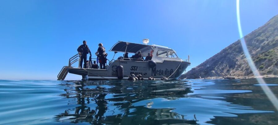 Sesimbra: Double Dive on a Marine reserve - Who Should Consider This Tour