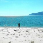 Sesimbra e Arrábida Natural Park: 1 Day Tour & Wine Tasting - An In-Depth Look at the Tour Experience