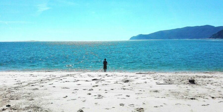 Sesimbra e Arrábida Natural Park: 1 Day Tour & Wine Tasting - An In-Depth Look at the Tour Experience