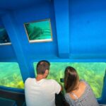 Sesimbra: Family Friendly Boat Sea Tour w/ Submarine Vision - Exploring the Marine Park and Scenic Stops