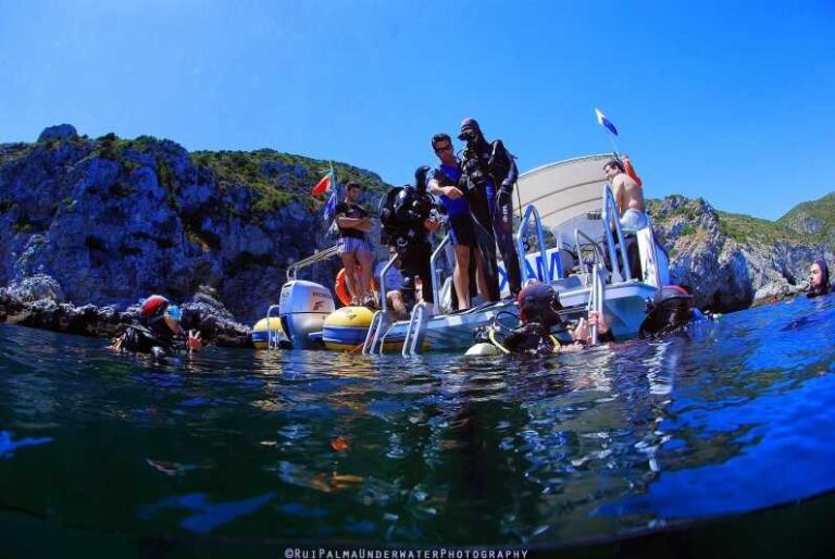 Sesimbra: Scuba Diving Experience for Beginners - The Experience: A Closer Look