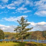 Sete Cidades Bike Rental - Who Will Love This Experience?