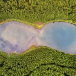 Sete Cidades: Half-Day Hiking Tour - What Sets This Tour Apart