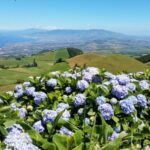 Sete Cidades - Half Day Tour - The Itinerary: What To Expect