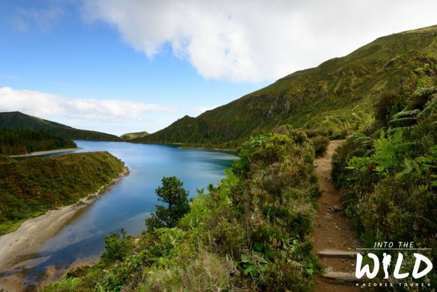 Sete Cidades & Lagoa do Fogo - Full-Day Tour - The Itinerary: Step-by-Step Highlights