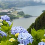 Sete Cidades & Lagoa do Fogo: Full Day Tour with Lunch - Who Should Book This Experience?