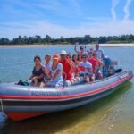 Setúbal: Dolphin-Watching Boat Tour - The Experience in Detail: What to Expect from the Tour