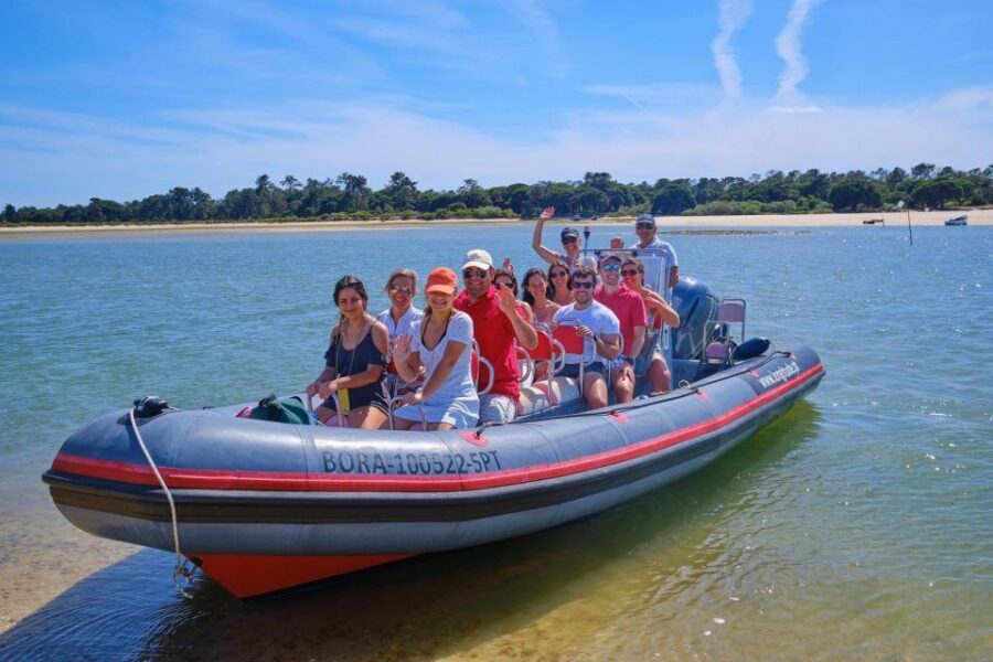 Setúbal: Dolphin-Watching Boat Tour - The Experience in Detail: What to Expect from the Tour