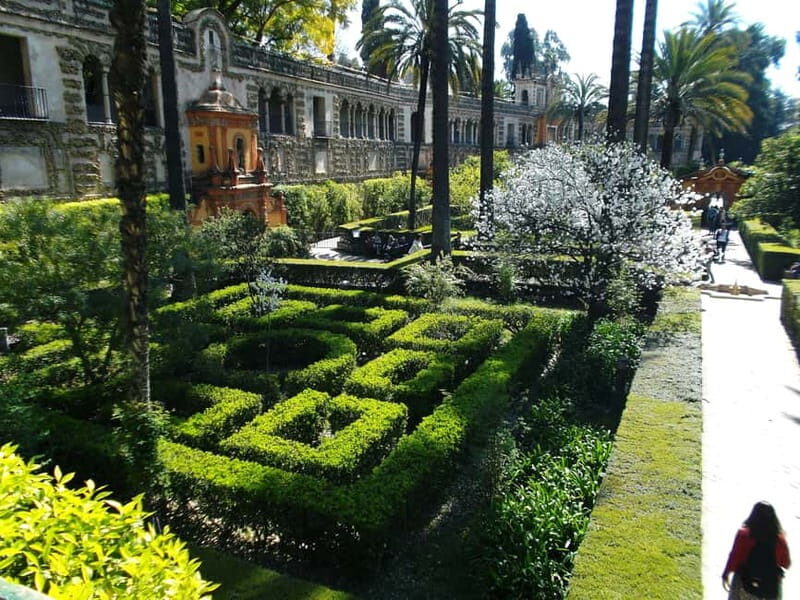 Sevilla Full-Day trip from Granada - The Itinerary Breakdown