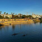 Sevilla Private Full-Day Tour from Malaga - The Landmarks: What Makes Them Special?