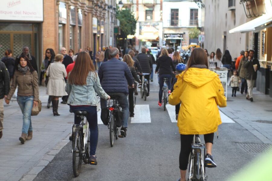 Seville: 1-Day Bike Rental - The Experience: Riding Through Seville’s Historic Heart