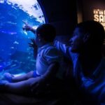 Seville Aquarium Admission Ticket - Marine Life and Educational Content