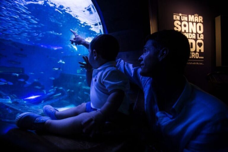 Seville Aquarium Admission Ticket - Marine Life and Educational Content